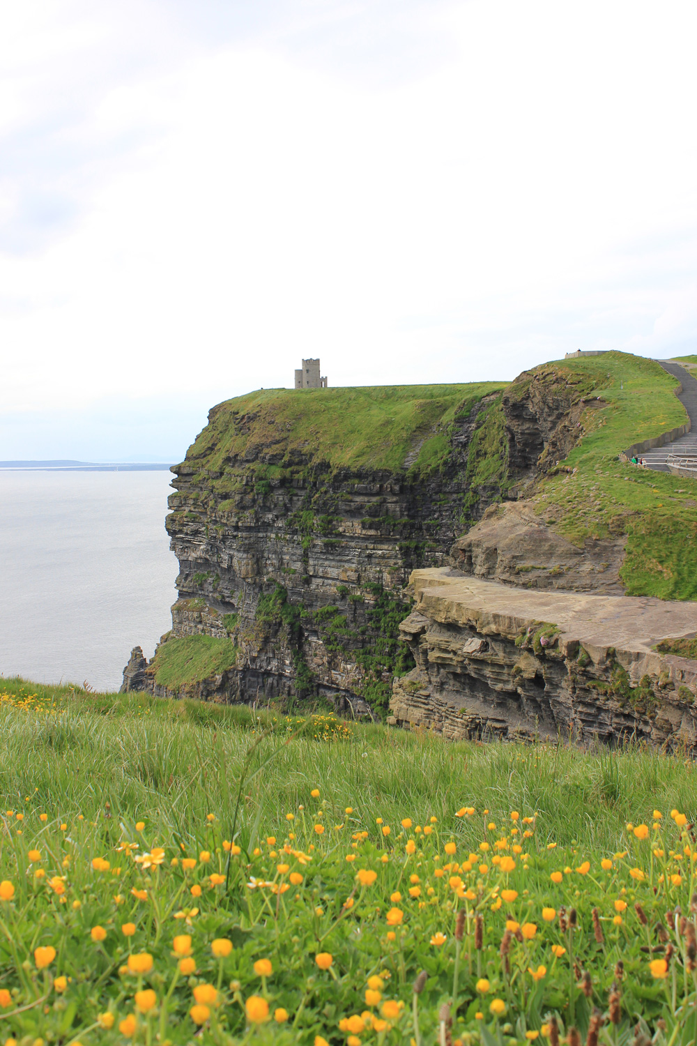 Cliffs Of Moher - Savannah Rose