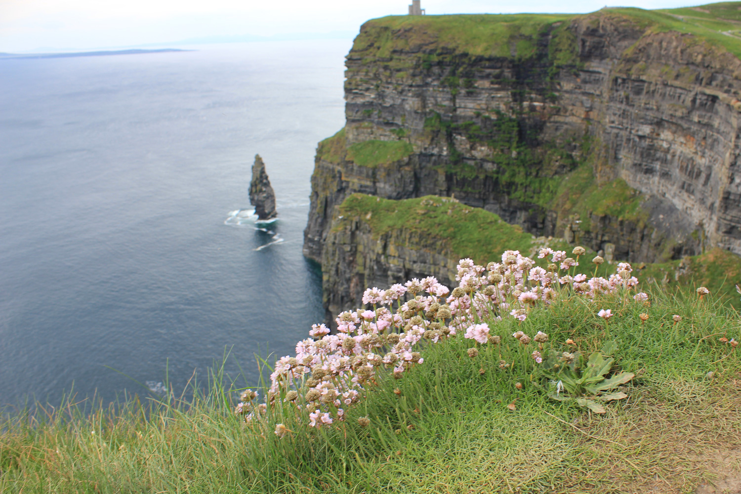 Cliffs Of Moher - Savannah Rose